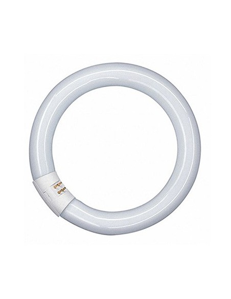 TUBO LED T9 CIRCULAR 32W Ø400mm
